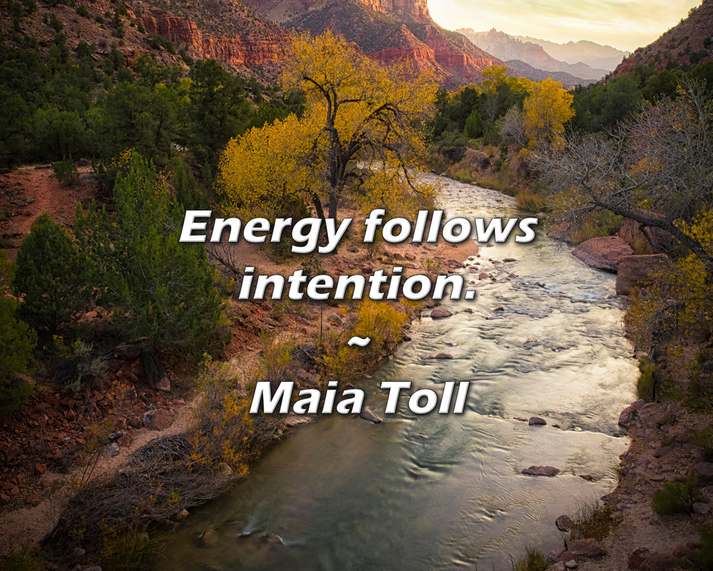 Astoria Grand Artsy Quote "Energy follows intention." By Maia Toll Gallery Wrapped Canvas | Wayfair